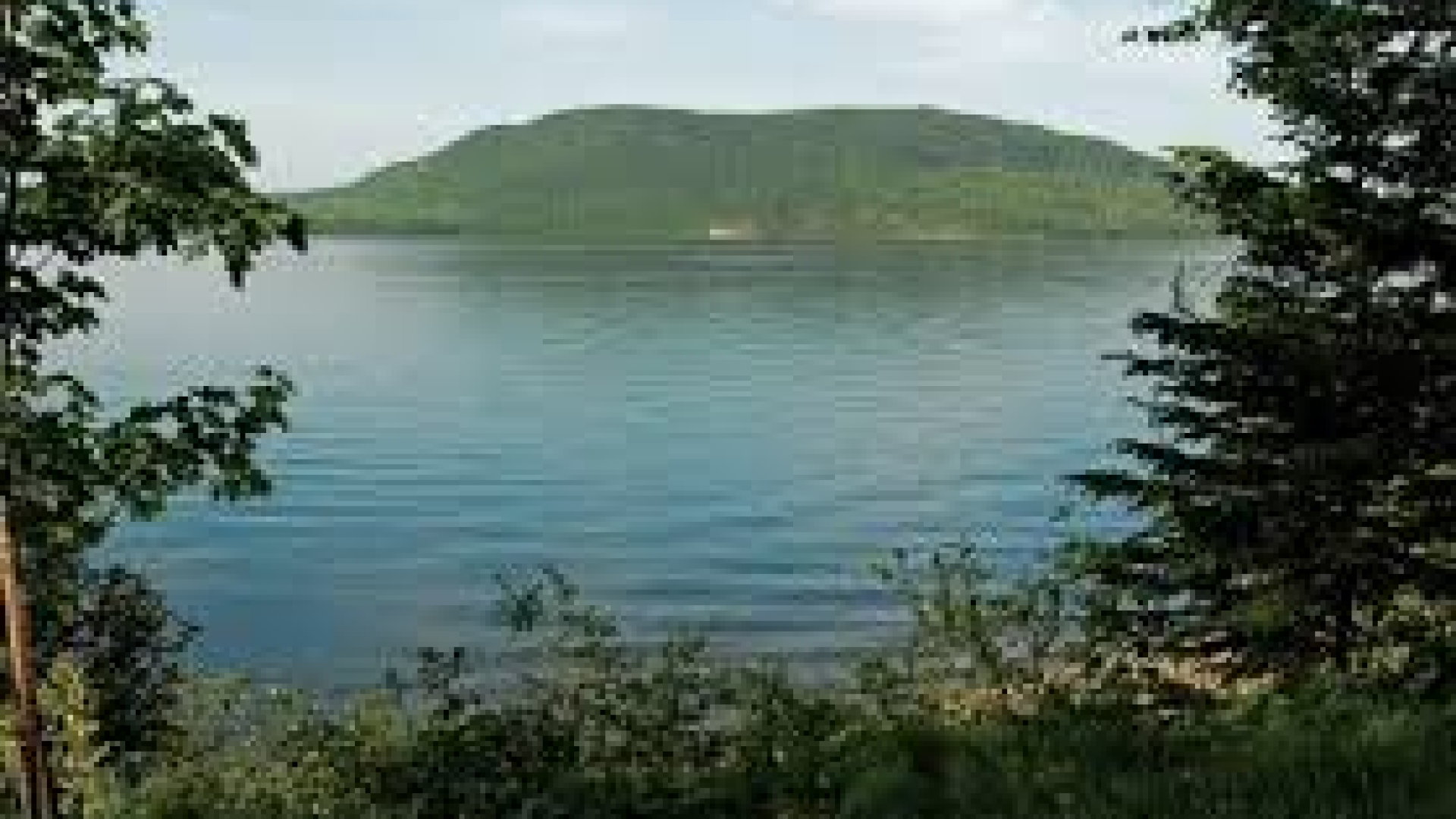 15377-Terrain de camping